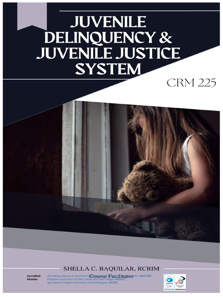 Chapter 1 New | PDF | Juvenile Delinquency | Deviance (Sociology)