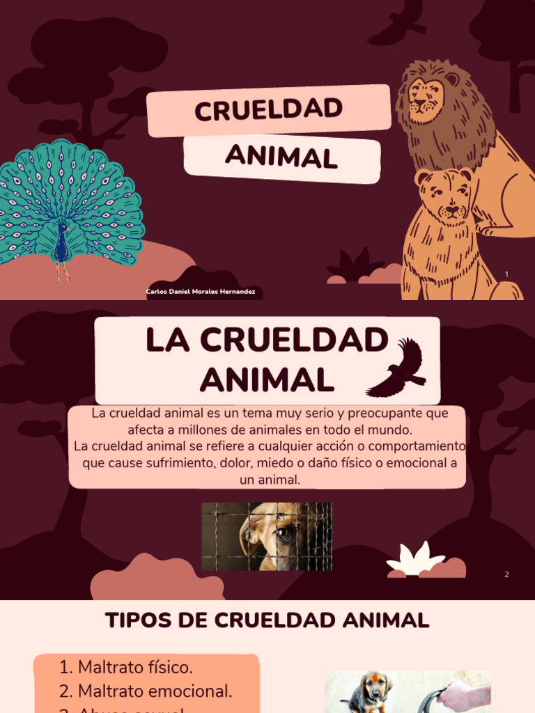 Crueldad Animal Tipos Causas Y Soluciones Pdf Abuso Infantil