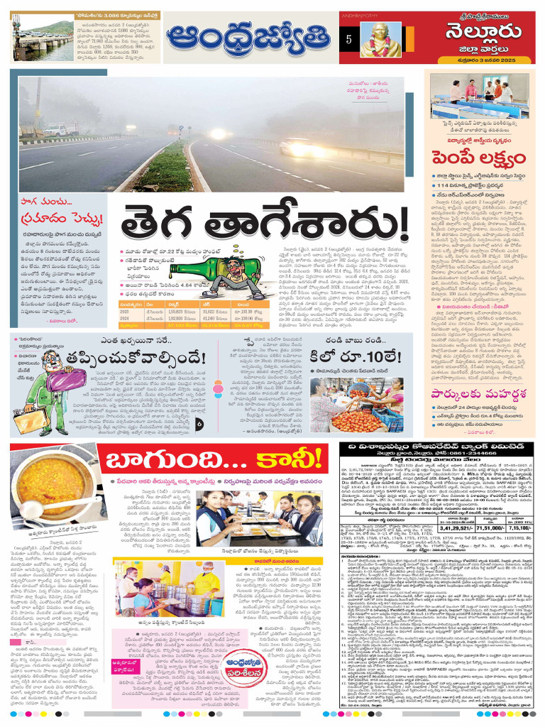 Nellore District - AJ - 03 01 2025 | PDF