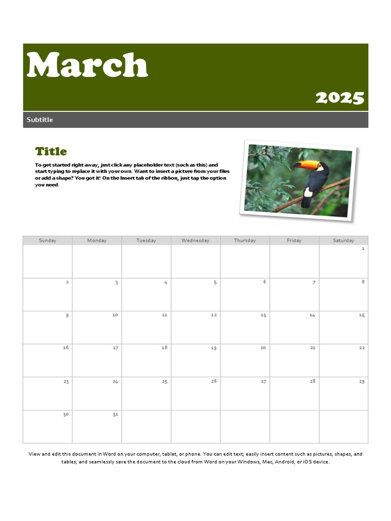 March 2025 Editable Calendar Template | PDF