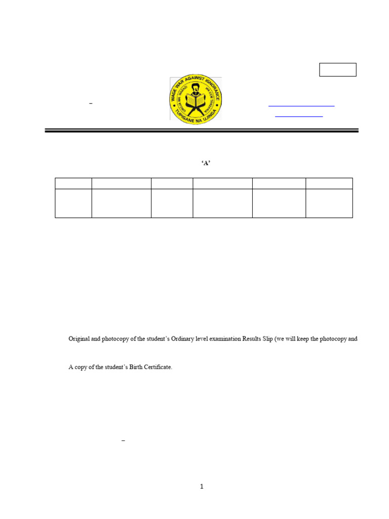 Form Five Application Form at Kibo Secondary School 2024 | PDF