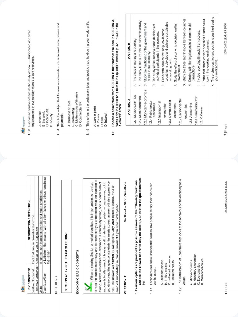 Topic 1 & 2 Term 1 Activities | PDF