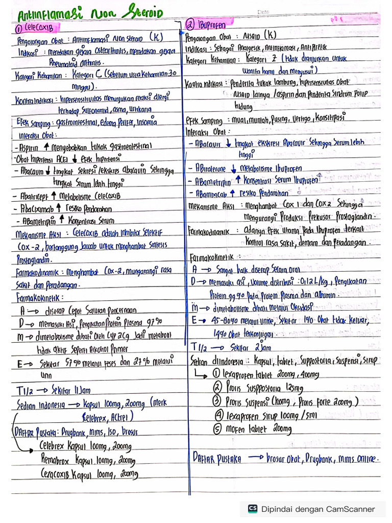 Eka Lubis 01174220017 (Tugas PIO NSAID) | PDF