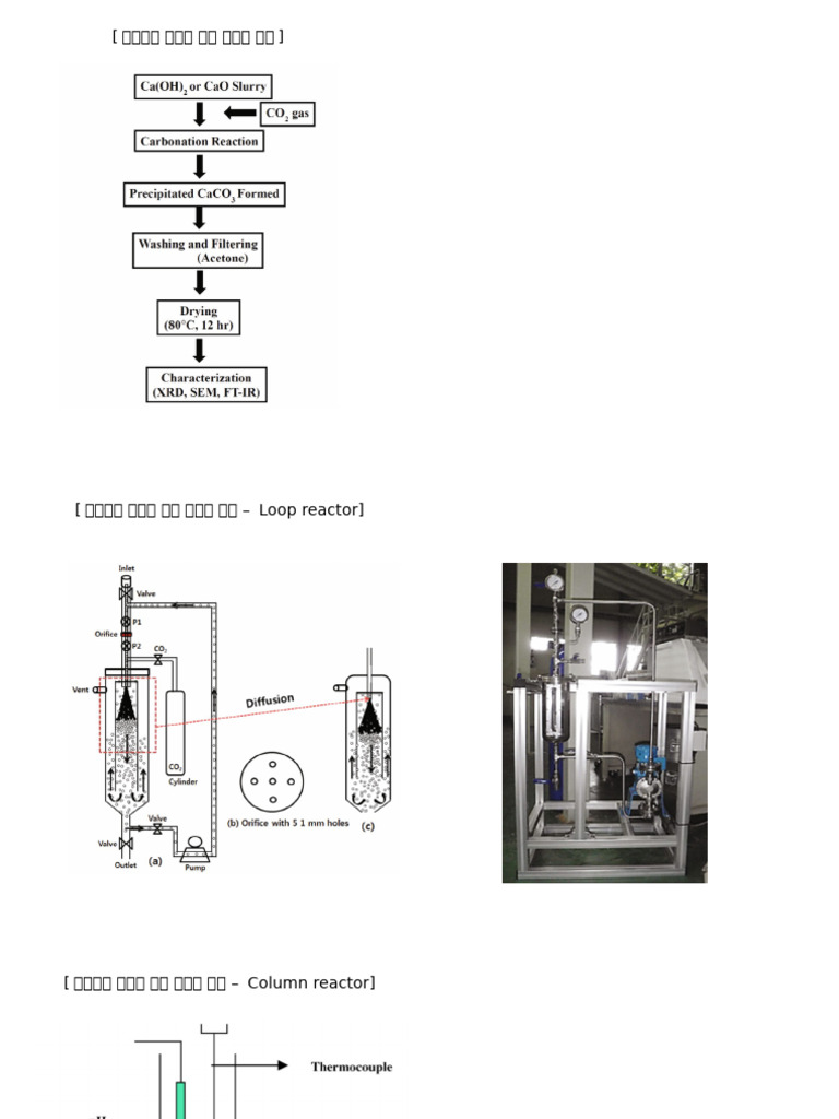 Sludge Carbonation | PDF