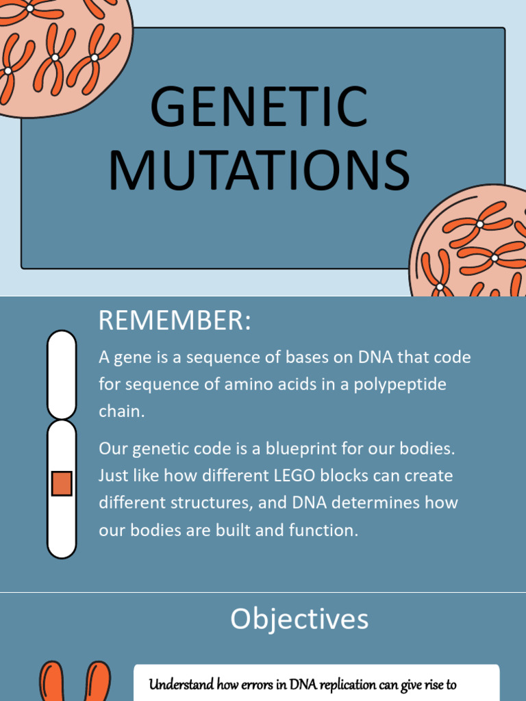 Understanding Genetic Mutations | PDF | Point Mutation | Mutation