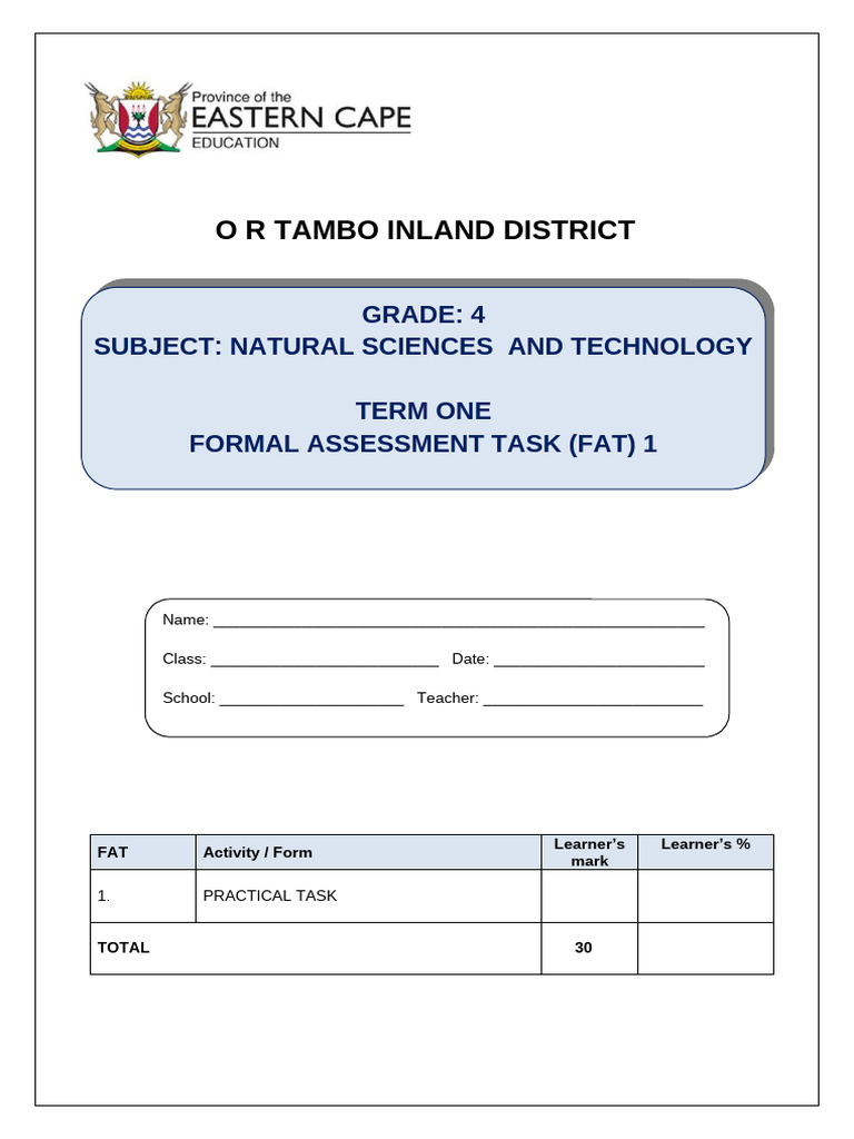 2023 NST Grade 4 Practical Term 1 | PDF | Birds | Cognition