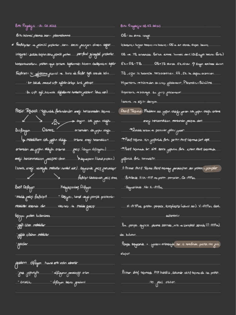 Bitki Fizyolojisi Vize-Final | PDF