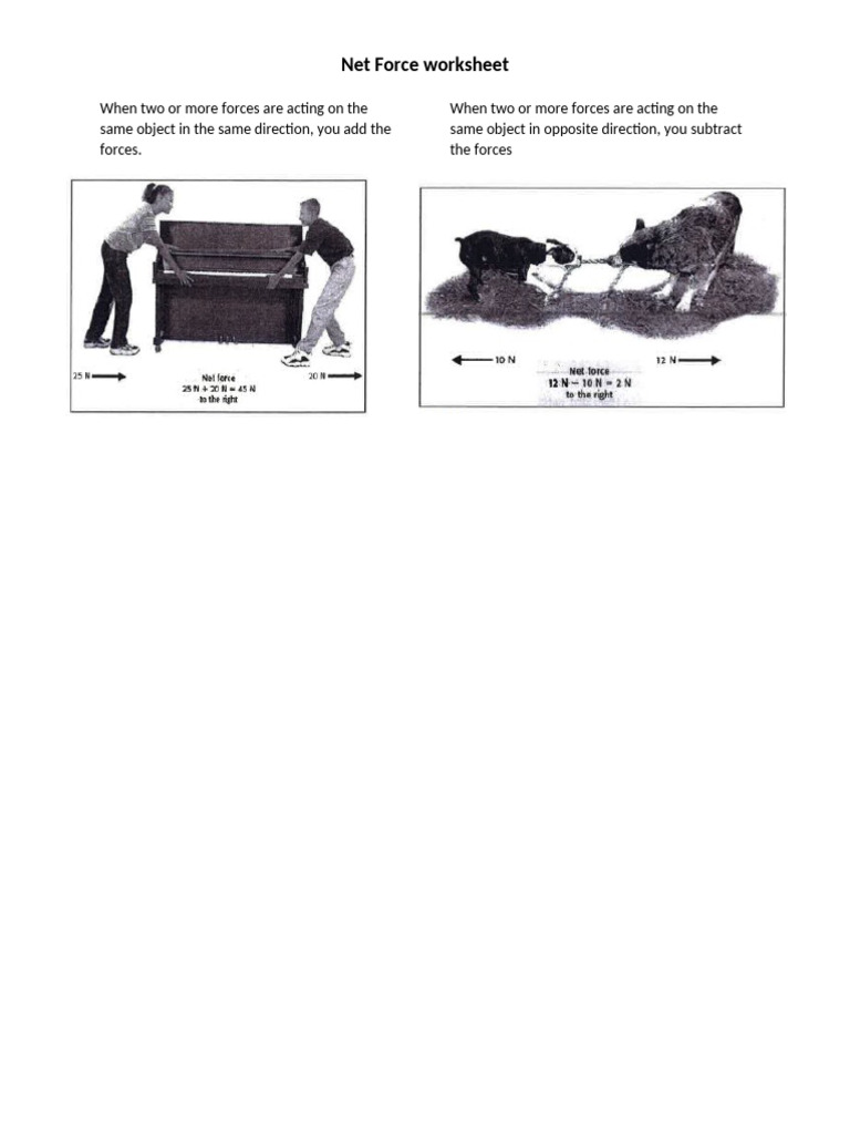 Net Force Calculation Worksheet | PDF