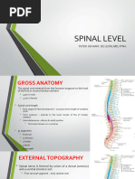 Ballard Score: Neuromuscular Maturity 1. Posture | PDF | Anatomical ...