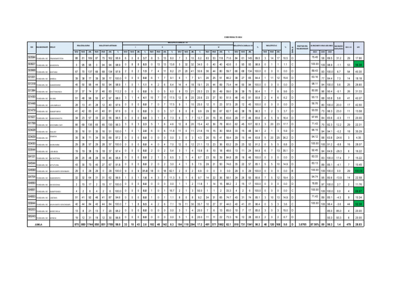 23.01.2025-Uchambuzi Csee 2024 - Ruvuma-Tunduru Dc-Kpi | PDF