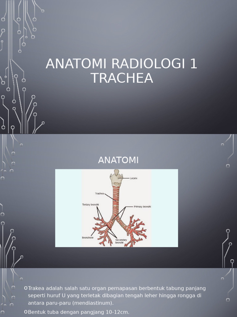 Anatomi Radiologi Trachea | PDF