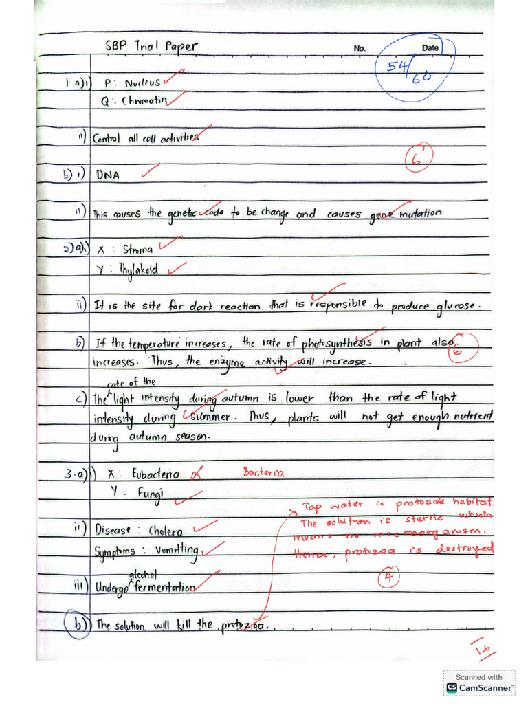 Yashwini Bio Test SBP 24 | PDF