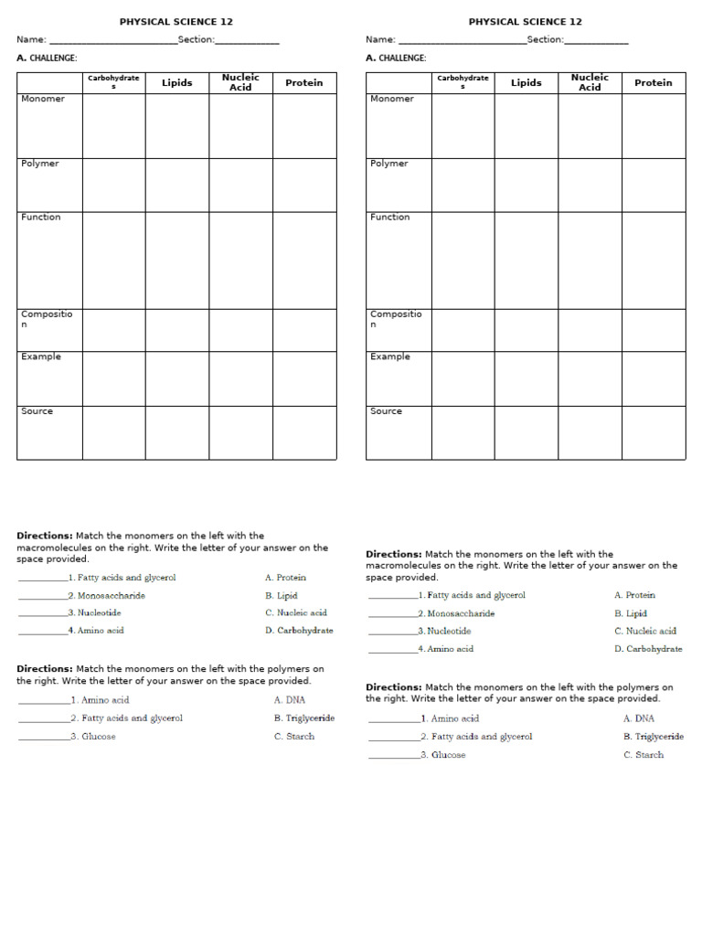 Activity On Macromolecules | PDF