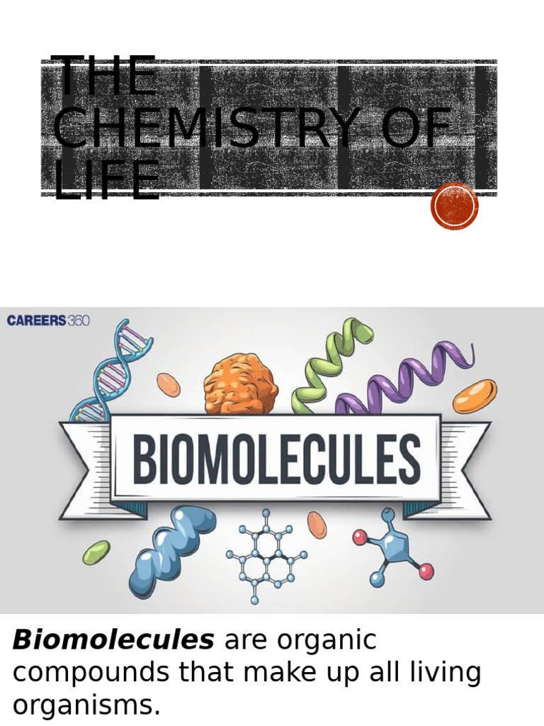 Understanding Biomolecules and Their Functions | PDF | Proteins | Fat