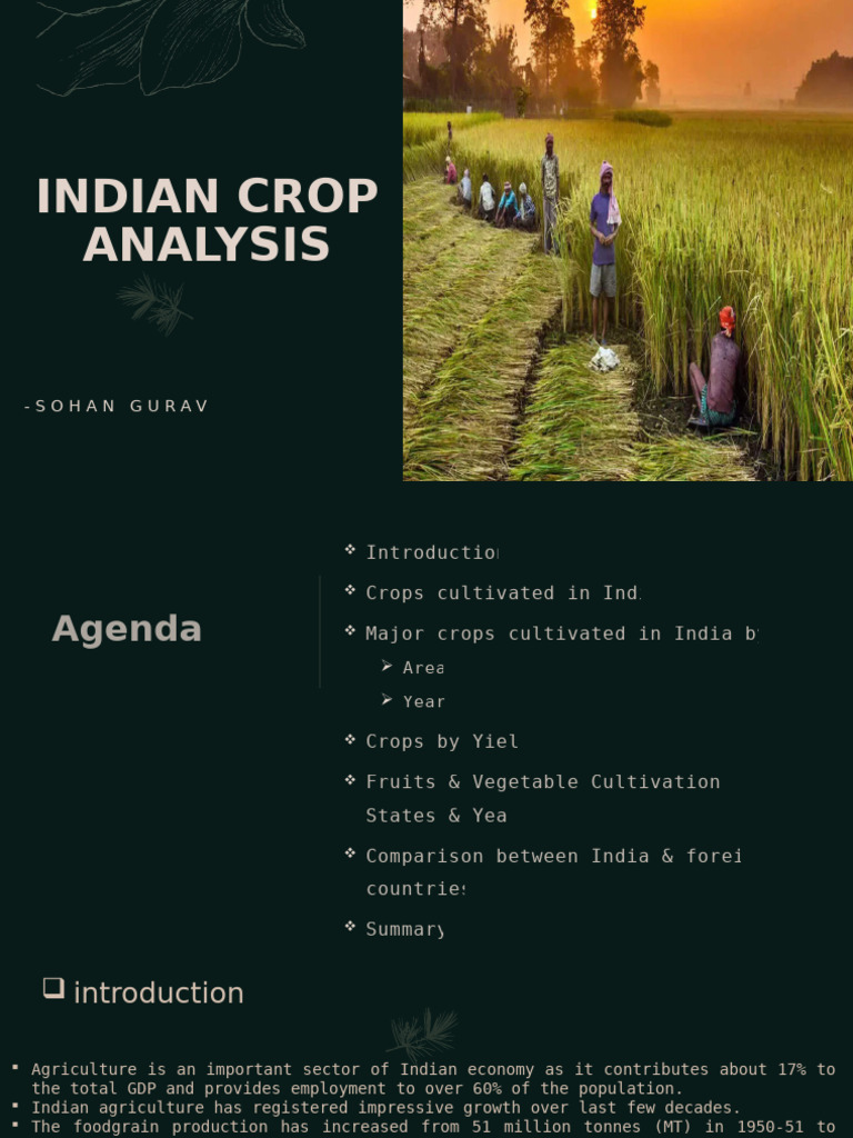 Sohan Gurav MIP DA 04 | PDF | Crops | Agriculture