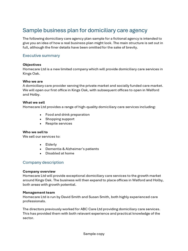 Sample Business Plan For Domiciliary Care Agency | PDF | Expense ...