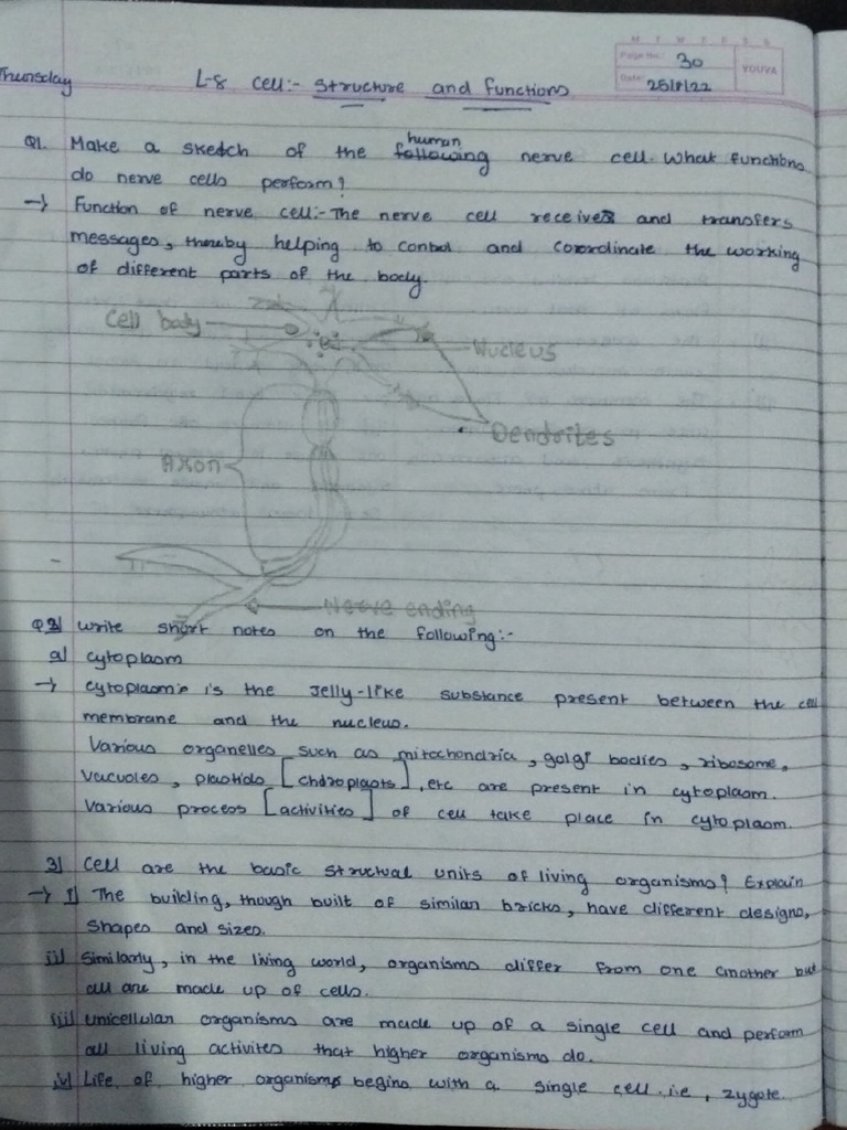 Adobe Scan 01 Sep 2022 | PDF