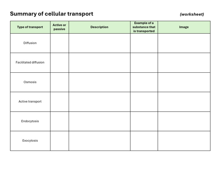 Summary of Cellular Transport (Worksheet) | PDF