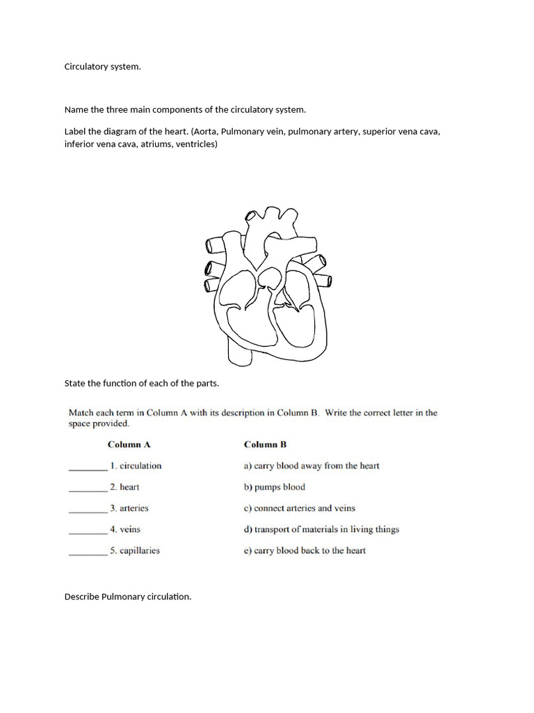 Circulatory System Components & Functions | PDF