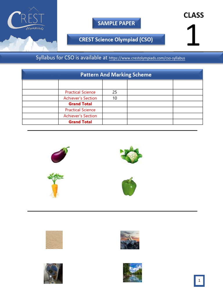 CSO Sample Papers for Class 1 | PDF