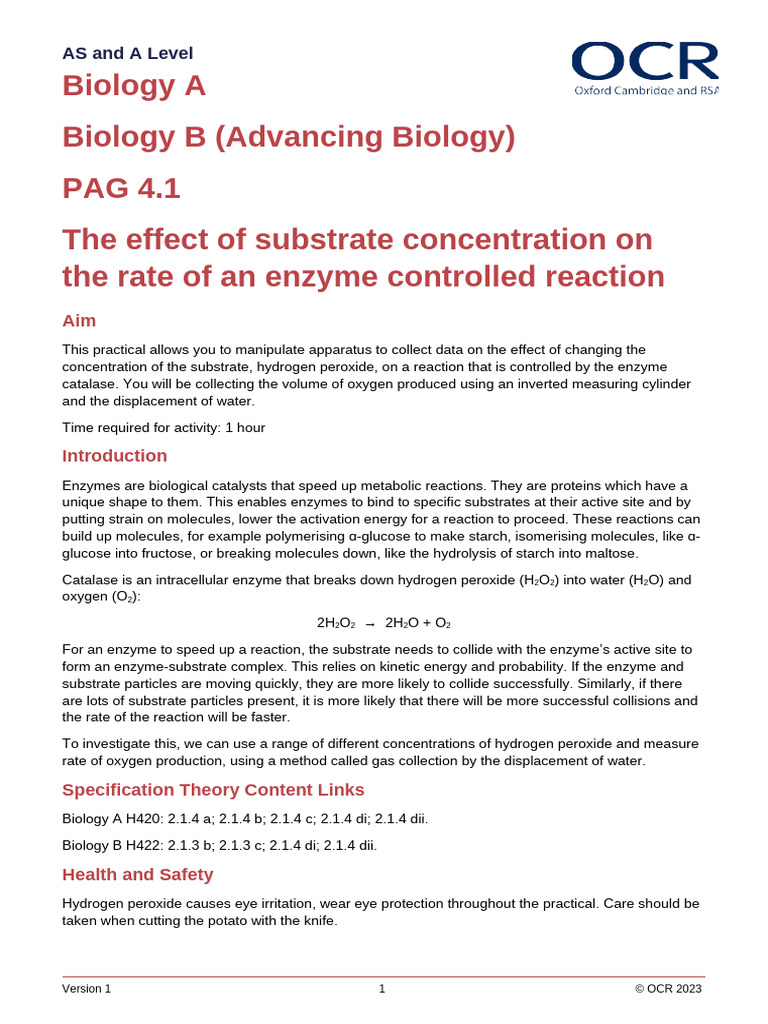 Enzyme Activity: Substrate Concentration Effects | PDF | Enzyme ...