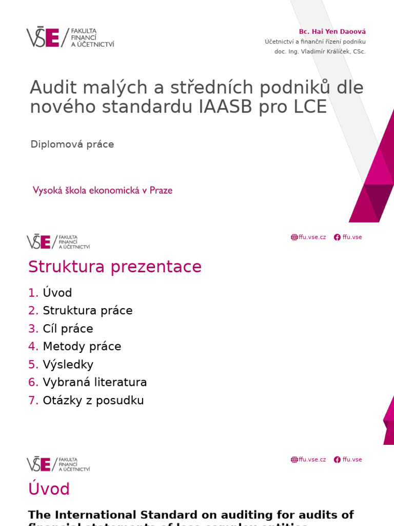 Prezentace DP Audit LCE | PDF