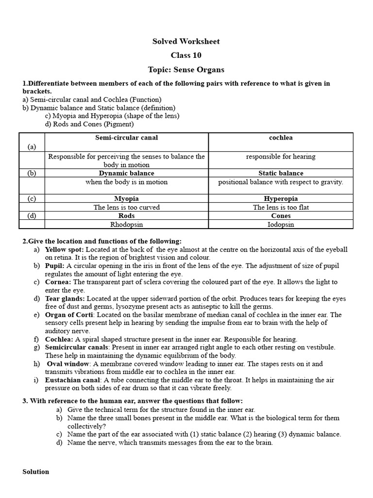Solved Worksheet The Sense Organs | PDF | Ear | Vision