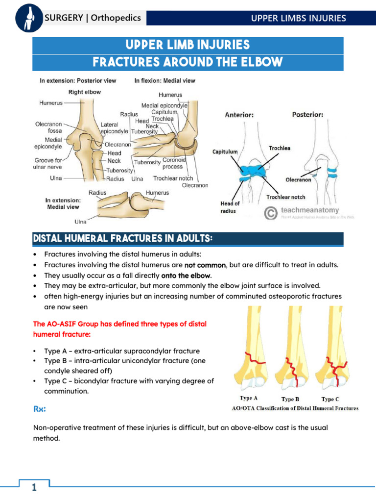 UPPER LIMB INJURIES PART 2 2025 | PDF | Elbow | Anatomical Terms Of Motion