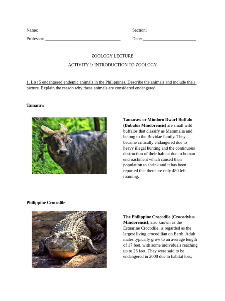 Activity 1 Introduction To Zoology | PDF | Invasive Species | Natural ...
