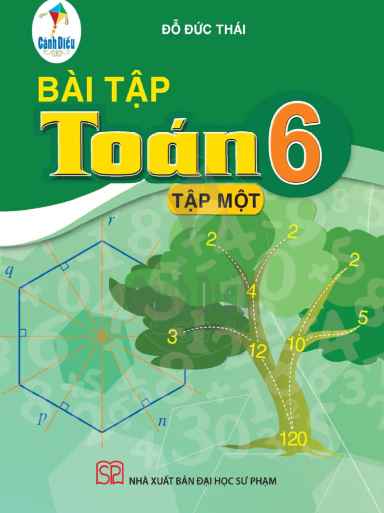 Sach Bai Tap Toan 6 Tap 1 Canh Dieu | PDF