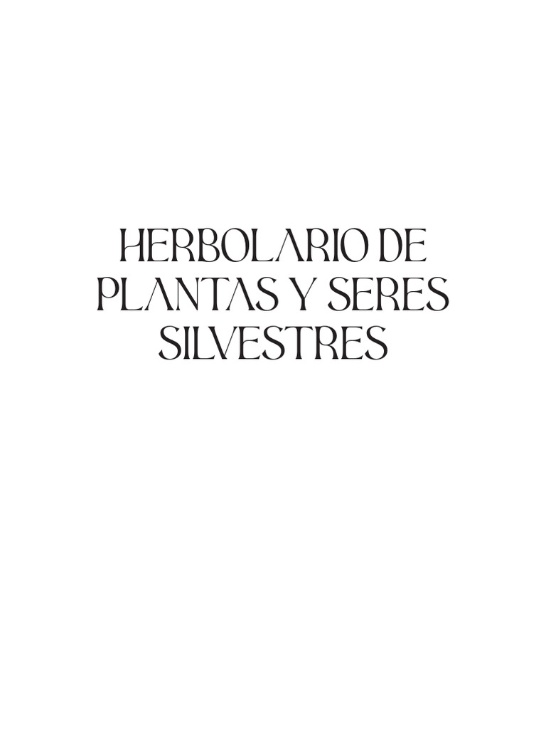 Ahora Si Fina Final OMG FINAL I GUESS | PDF | Abejas | Flores
