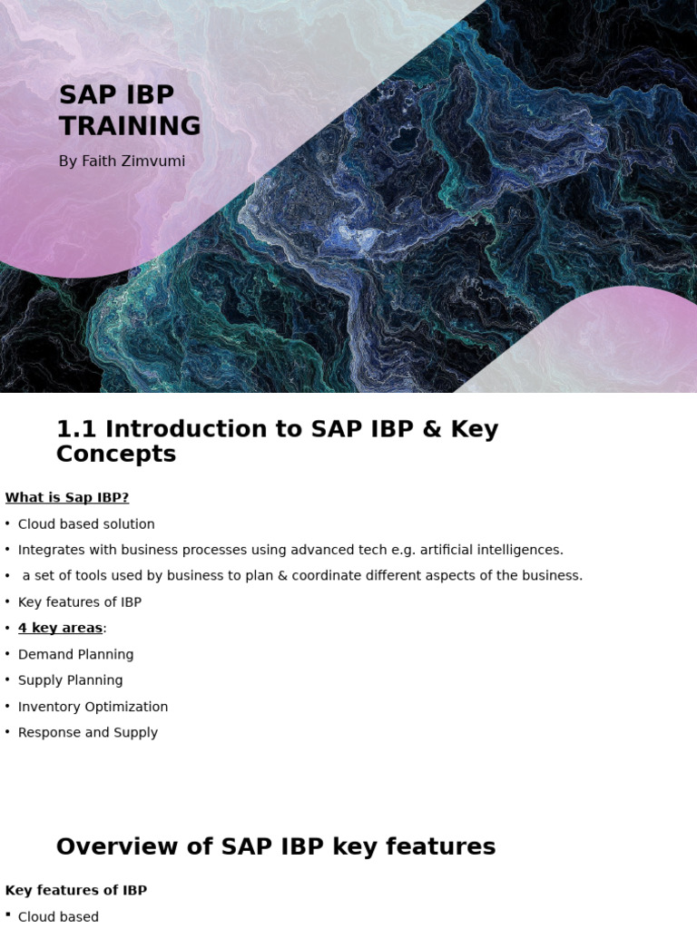 SAP IBP TRAINING Day 1 & Day 2 | PDF