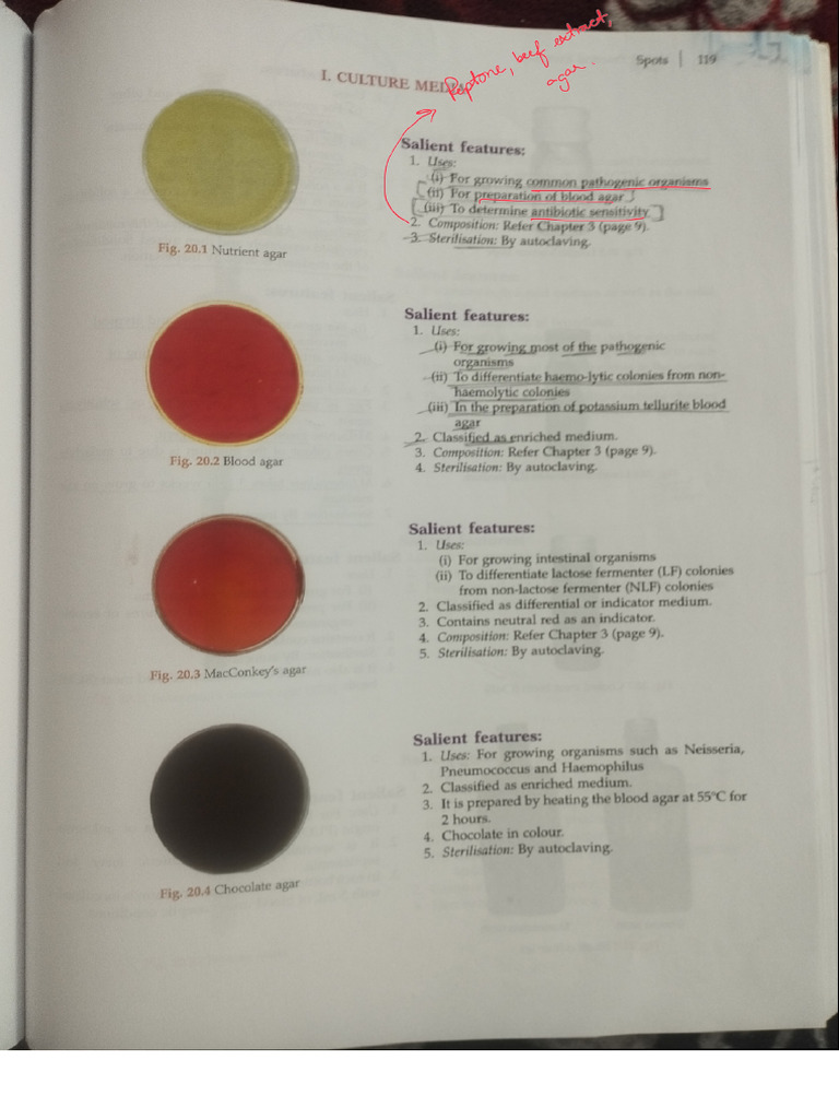 Micro Practical | PDF