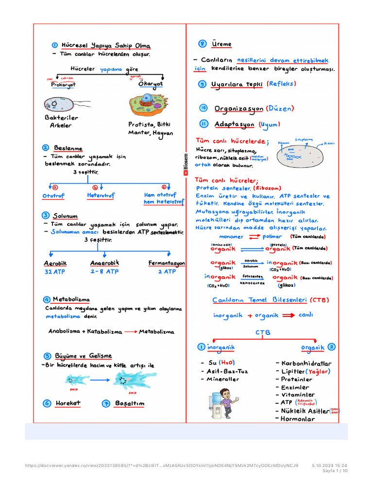 TYT Biyoloji Full Tekrar Genel Tekrar Biosem - PD.F | PDF