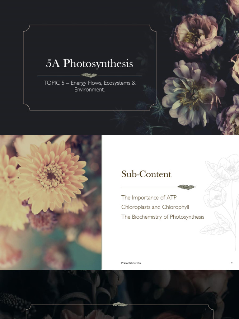 Biology Presentation - Topic 5 - Photosynthesis | PDF | Photosynthesis ...