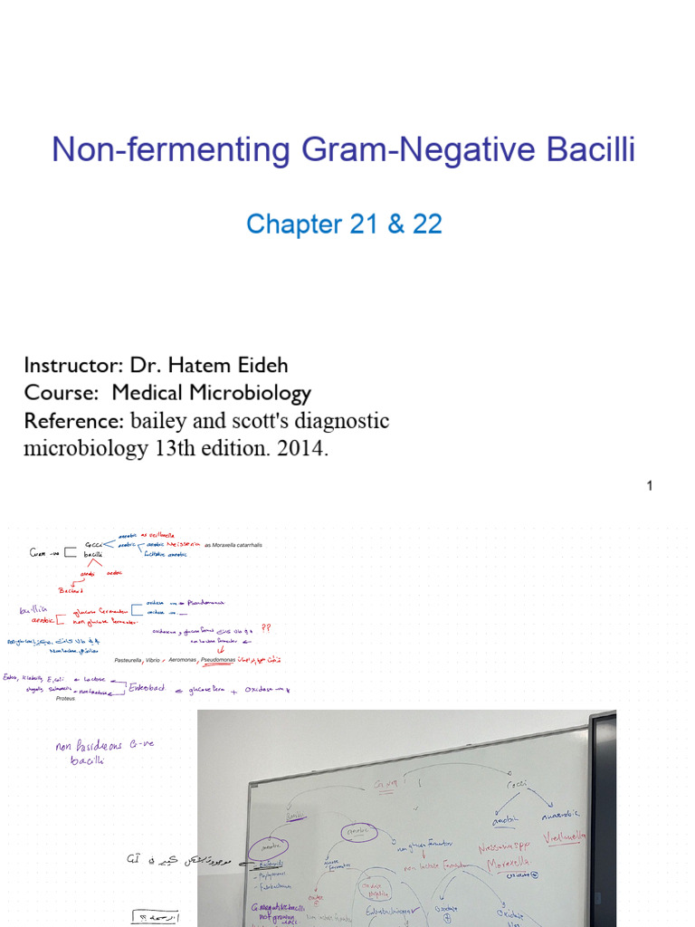 Medical Microbiology: Non-Fermenting Bacilli | PDF | Infection ...
