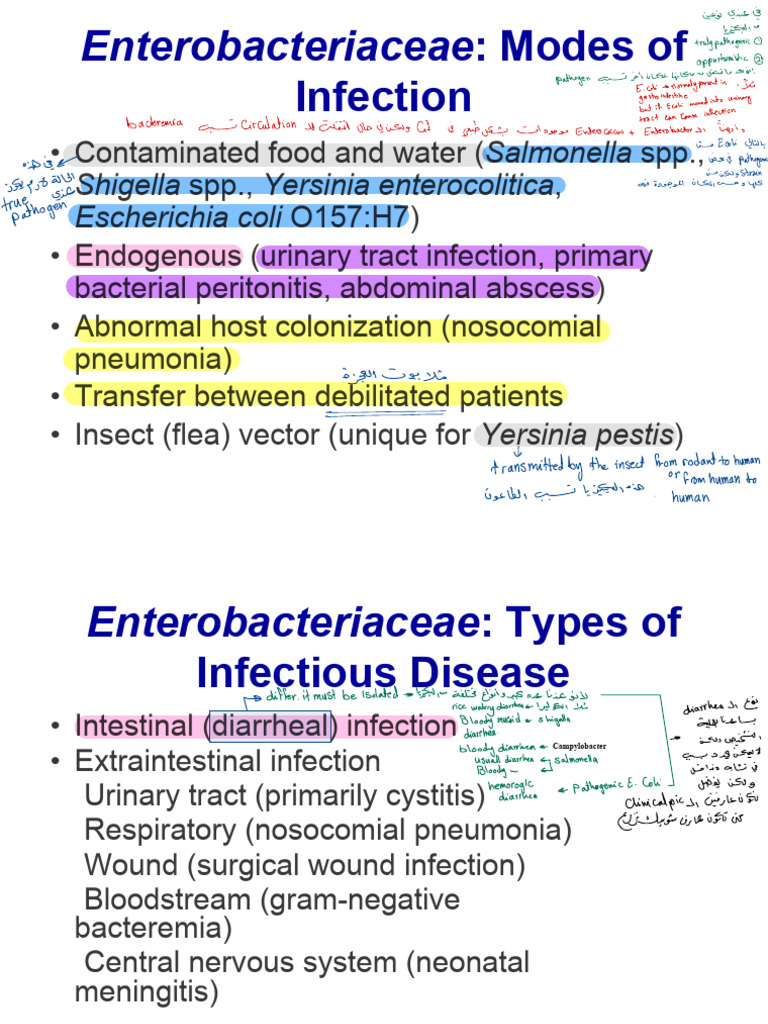 Enterobacteriaceae Part II | PDF | Infection | Diarrhea