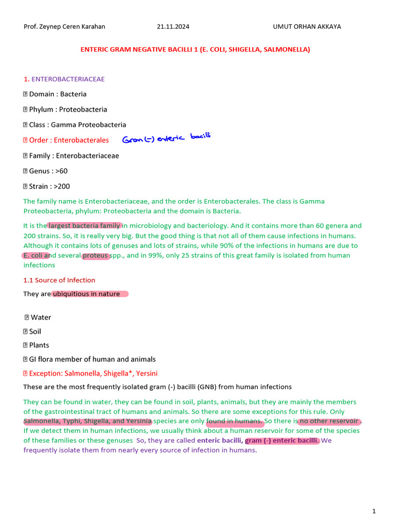 Enteric Gram-Negative Bacilli Overview | PDF | Beta Lactamase | Urinary ...