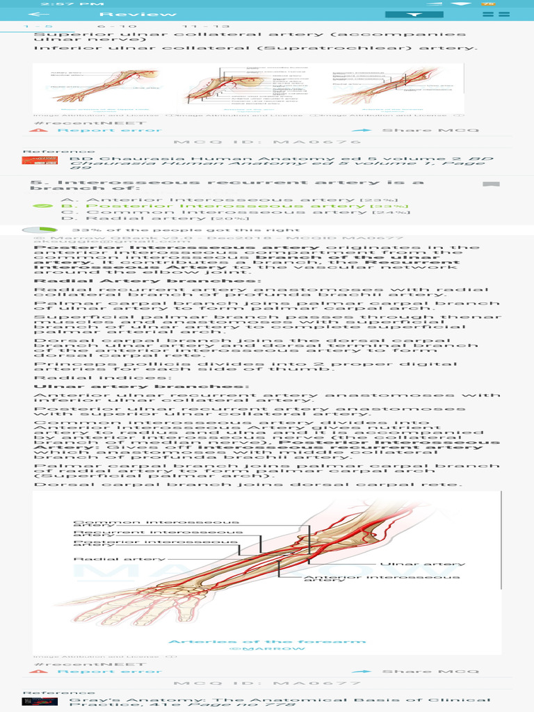 Anatomy Marrow Qbank - 203 | PDF