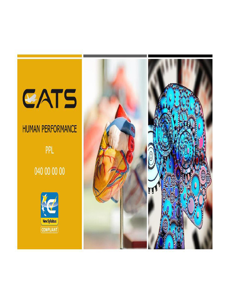 4 - Human - Performance - and - Limitations 2 | PDF