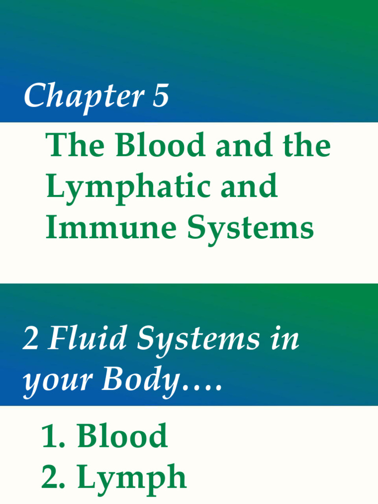 Copy of Ch. 5 Revised Blood, Lymphatic, & Immune Systems Structure ...