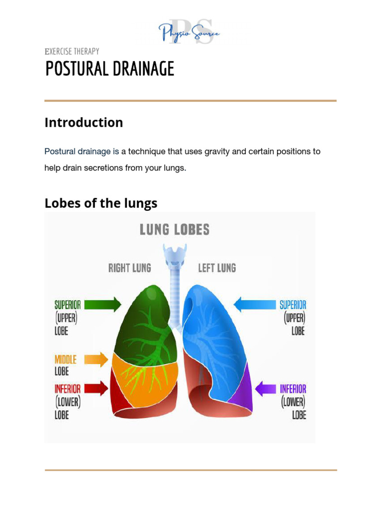 Postural Drainage Techniques Guide | PDF | Thorax | Respiratory Tract