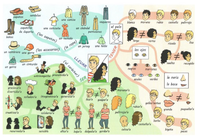 Carte Mentale Description Physique | PDF