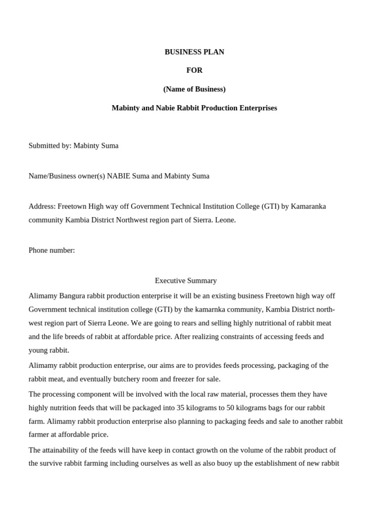 Nabie Suma Business Plan Template | PDF | Agriculture | Food Industry
