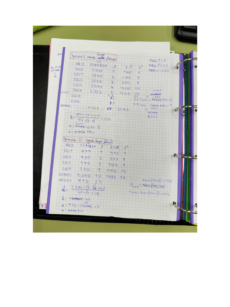 Ejercicios Demanda L P | PDF