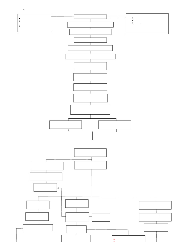 Pneumonia GENERAL PATHO | PDF | Respiratory Tract | Lung