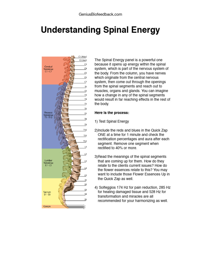 Spinal Energy Insights and Healing Techniques | PDF | Thorax ...
