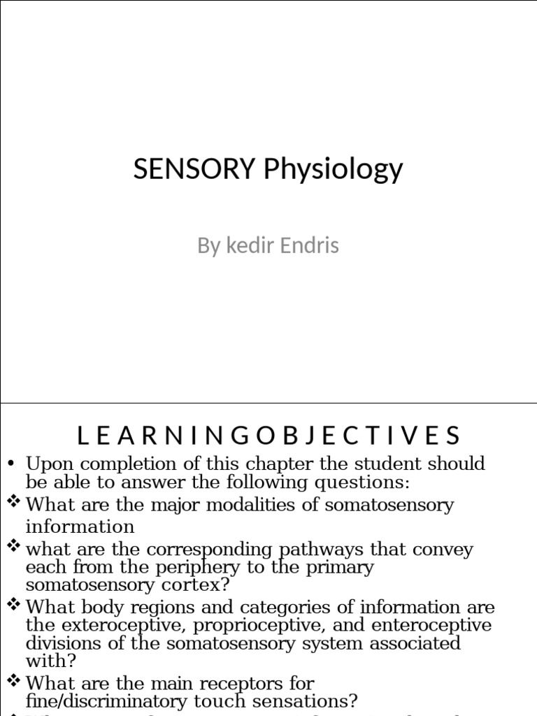 SENSORY Physiology Final 222 | PDF | Somatosensory System | Senses