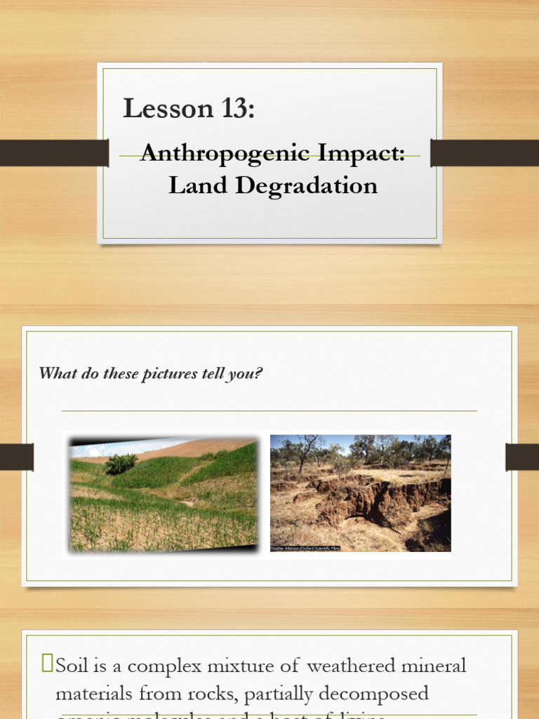 Lesson 13 Land Degradation | PDF | Soil | Agriculture