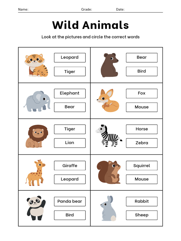 PRINT! Animals Vocabulary Set of Worksheets in Colorful Simple Style | PDF